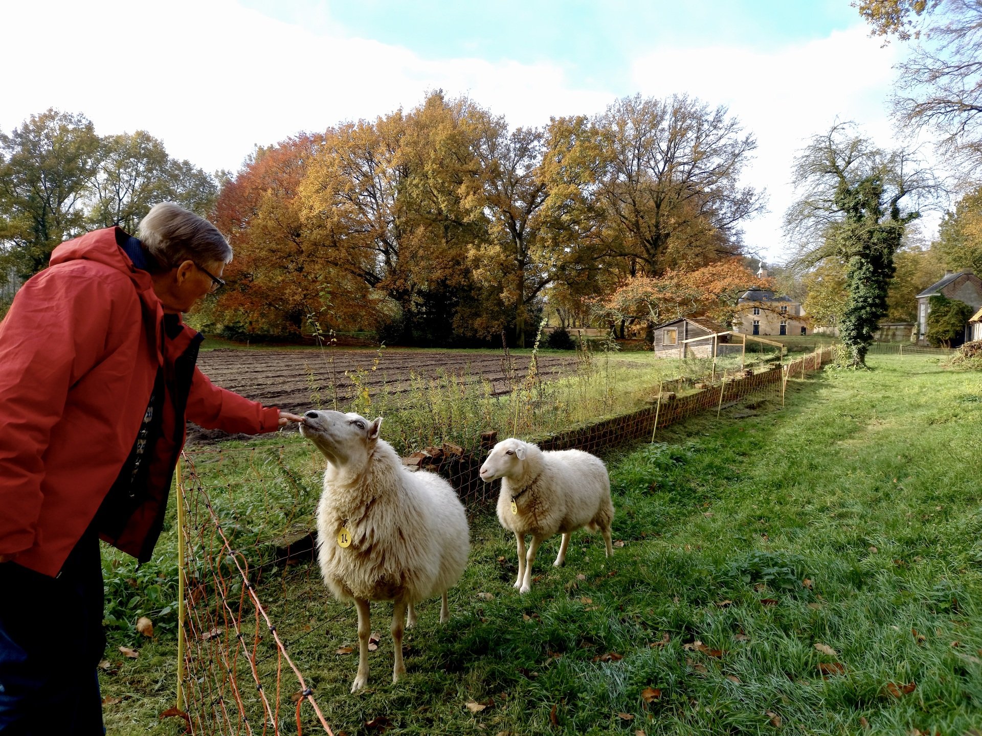 Sociale tuinderij de Scheve Schup want, Vers is lekkerder!