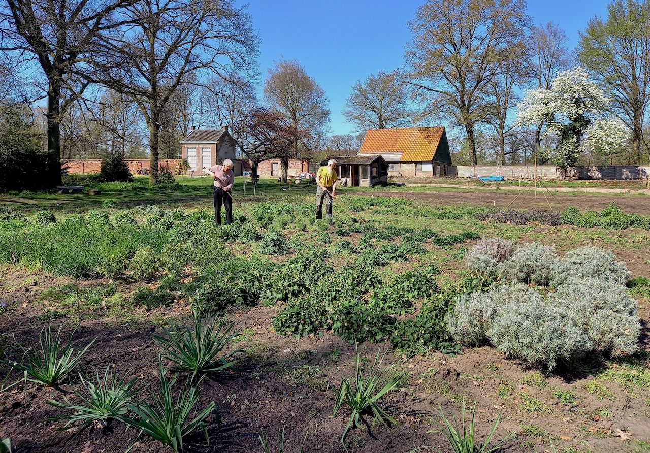 Sociale tuinderij de Scheve Schup want, Vers is lekkerder!