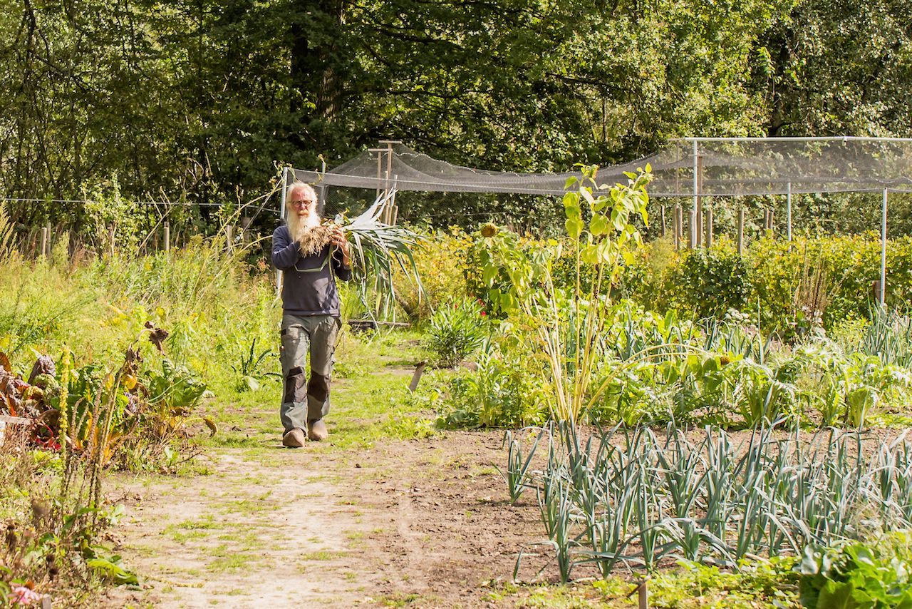 Sociale tuinderij de Scheve Schup want, Vers is lekkerder!