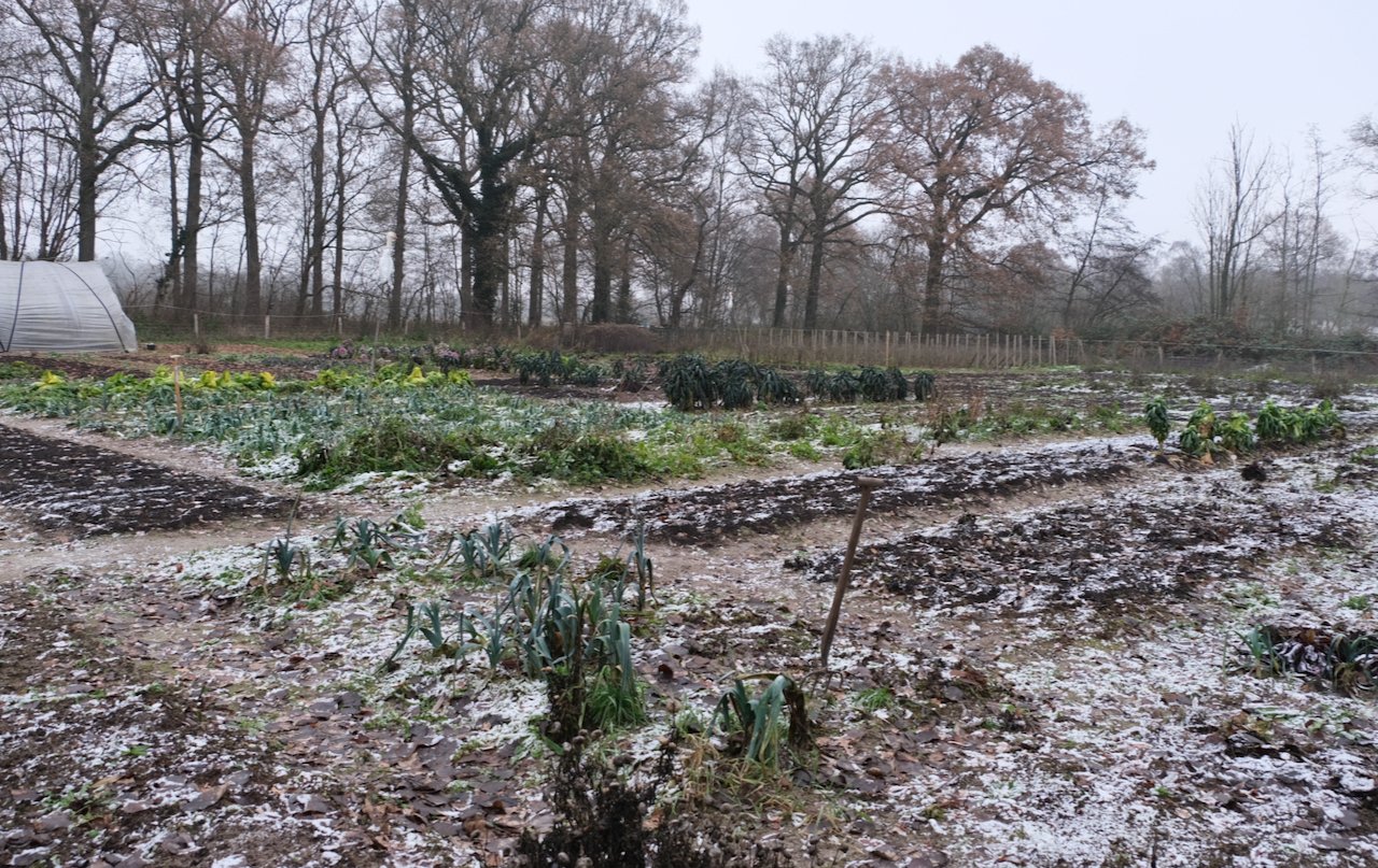 Sociale tuinderij de Scheve Schup want, Vers is lekkerder!