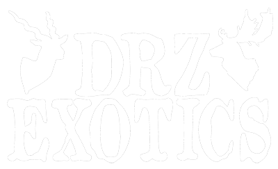 DRZ Exotics | We're Specialized in Breeding & Capture of Exotic Hoofstock