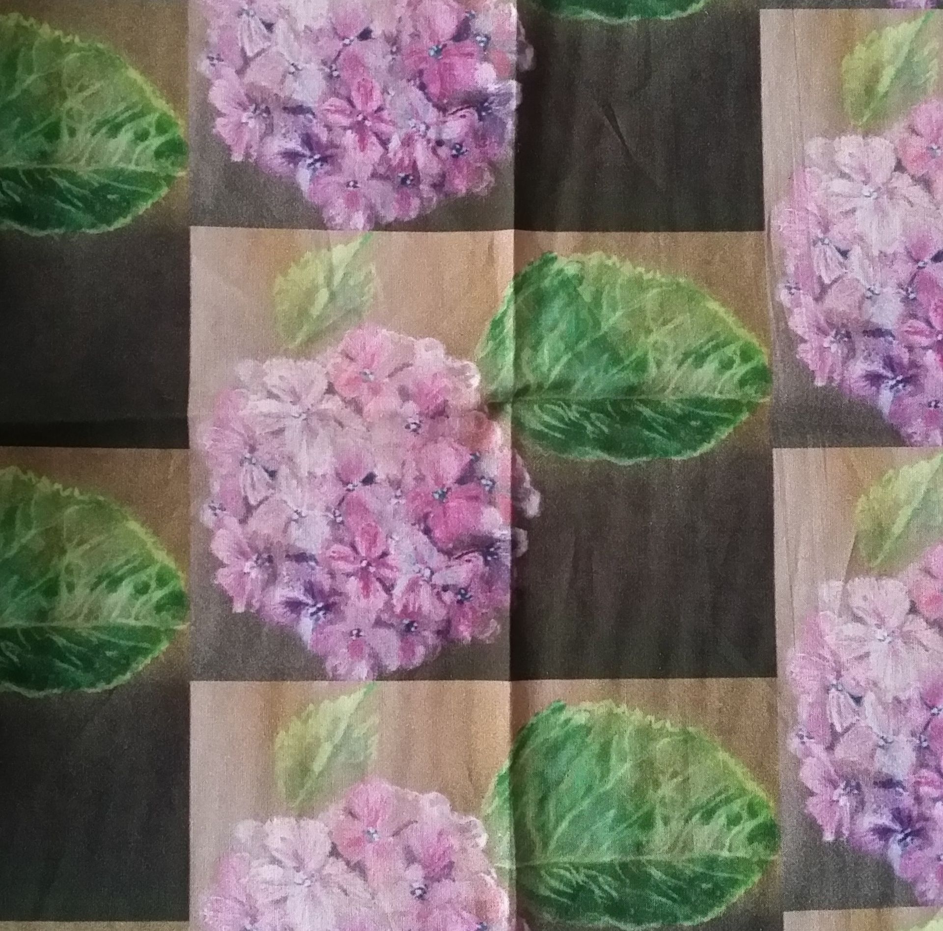 Home [www.colyfordcollection.com]