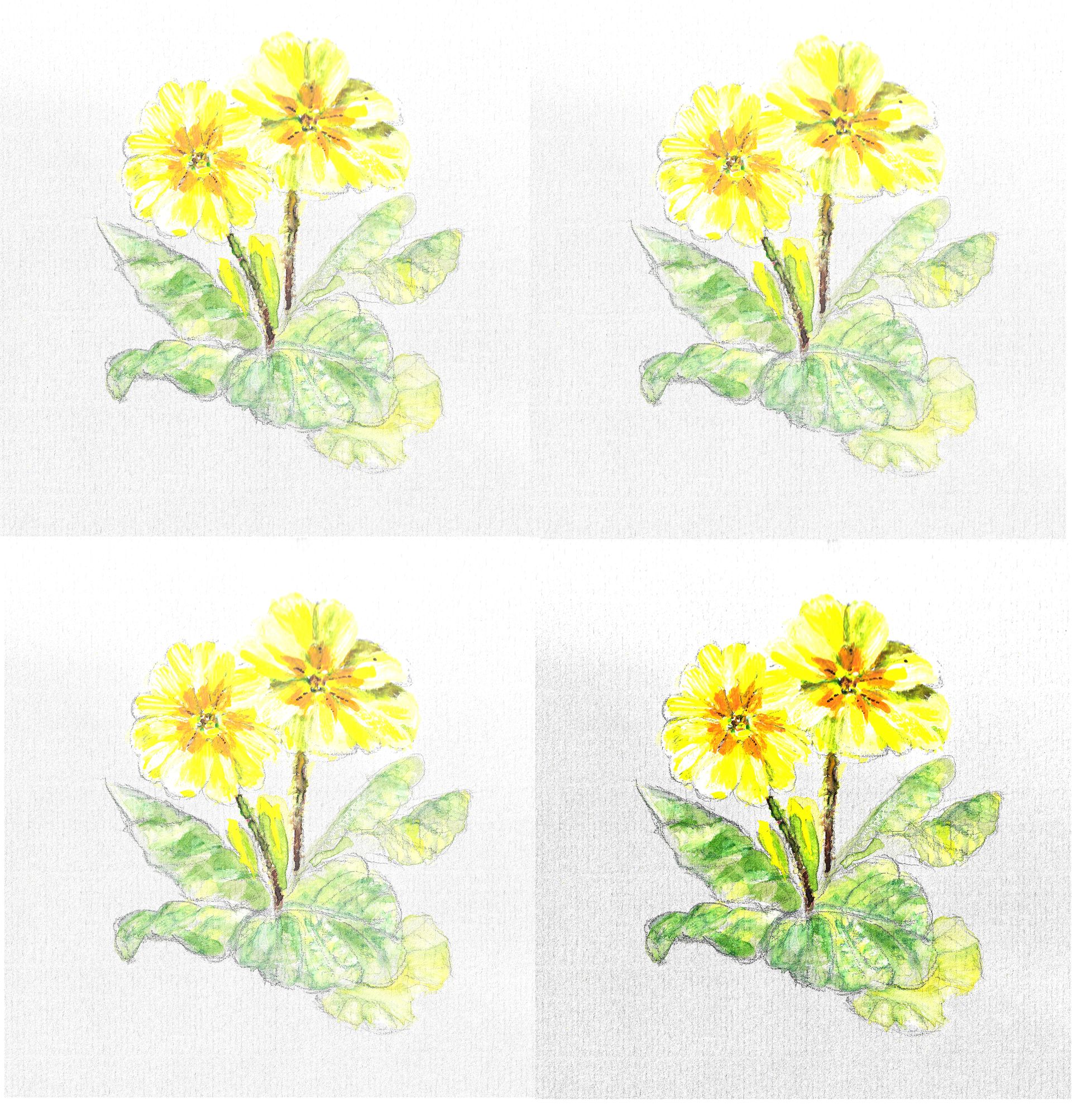 Home [www.colyfordcollection.com]