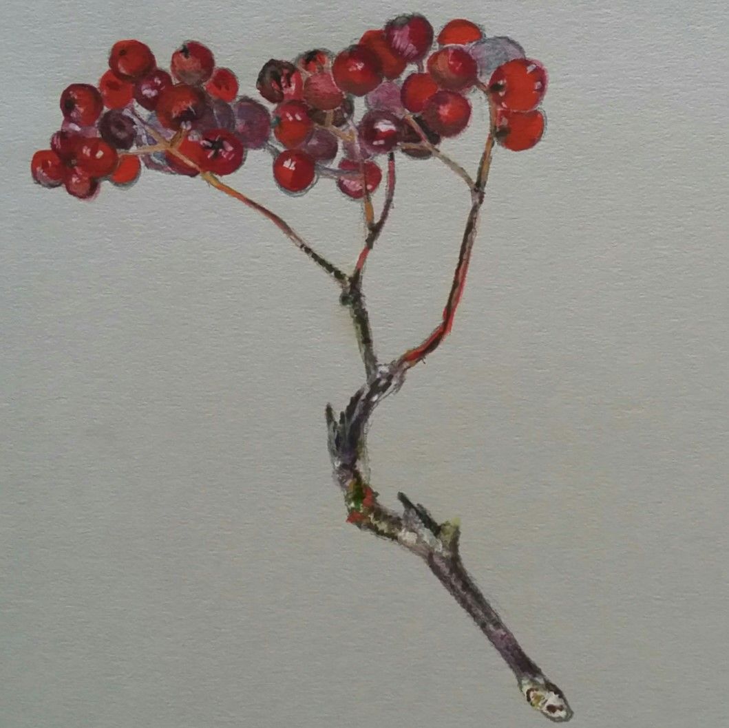 Home [www.colyfordcollection.com]