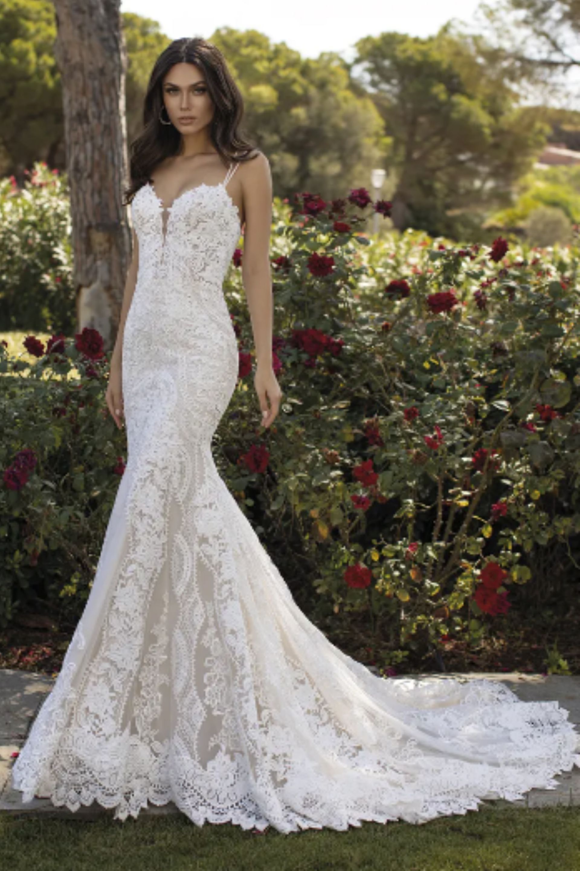 Home Page | L'elite Bridal Bridesmaids Occasions Boston