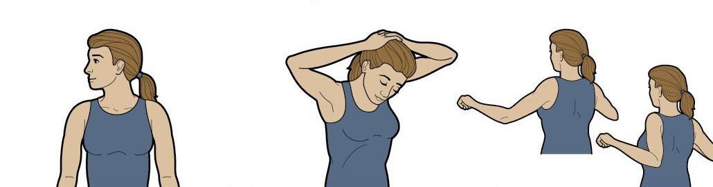 Cervical Spine: Stretches