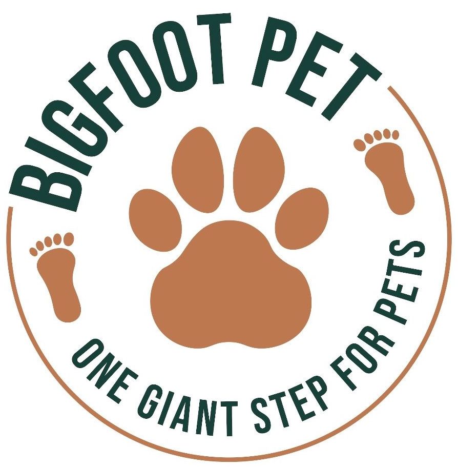 Nose to the Ground: Abbi, the Hide-and-Seek Champion