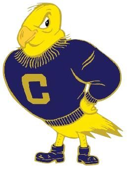 Product Pictures | Anaheim, CA | Rev Varsity