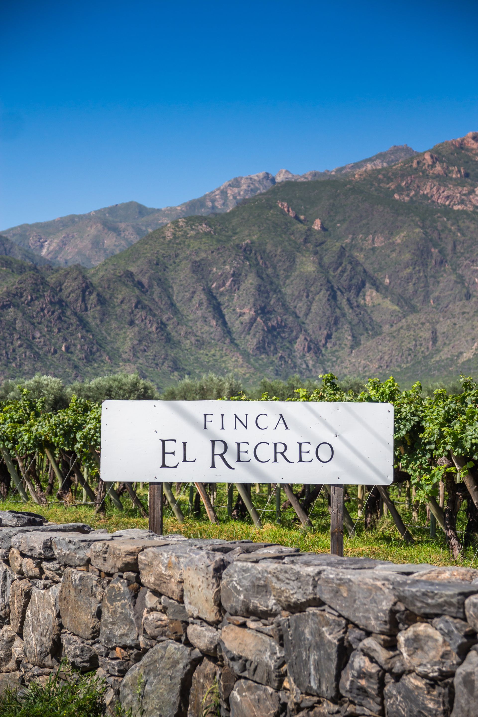 Finca el Recreo | Cafayate | Hotel Exclusivo