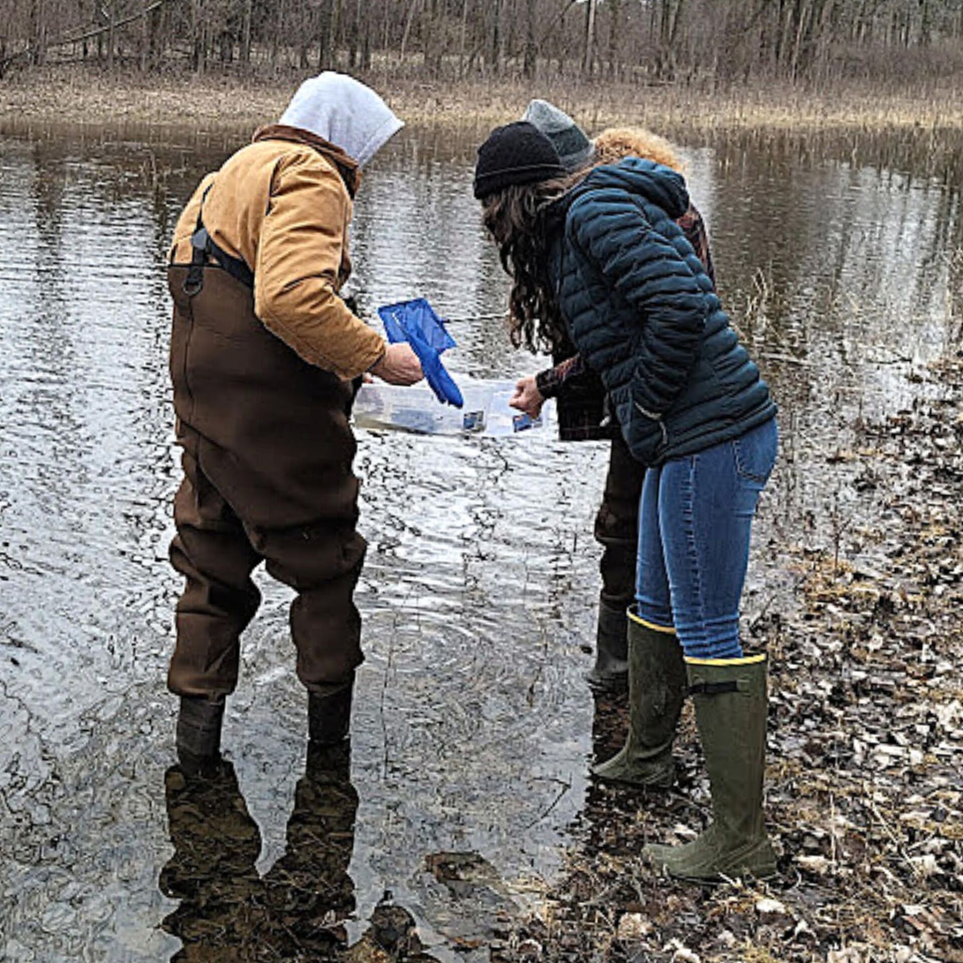 Environmental Monitoring | Flint River Watershed Coalition, MI