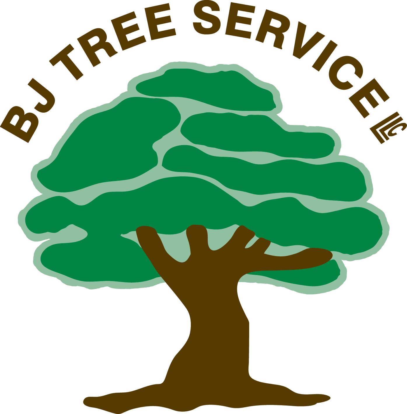 BJ Tree Service, LLC | Oakmont & Plum, PA | Tree Company