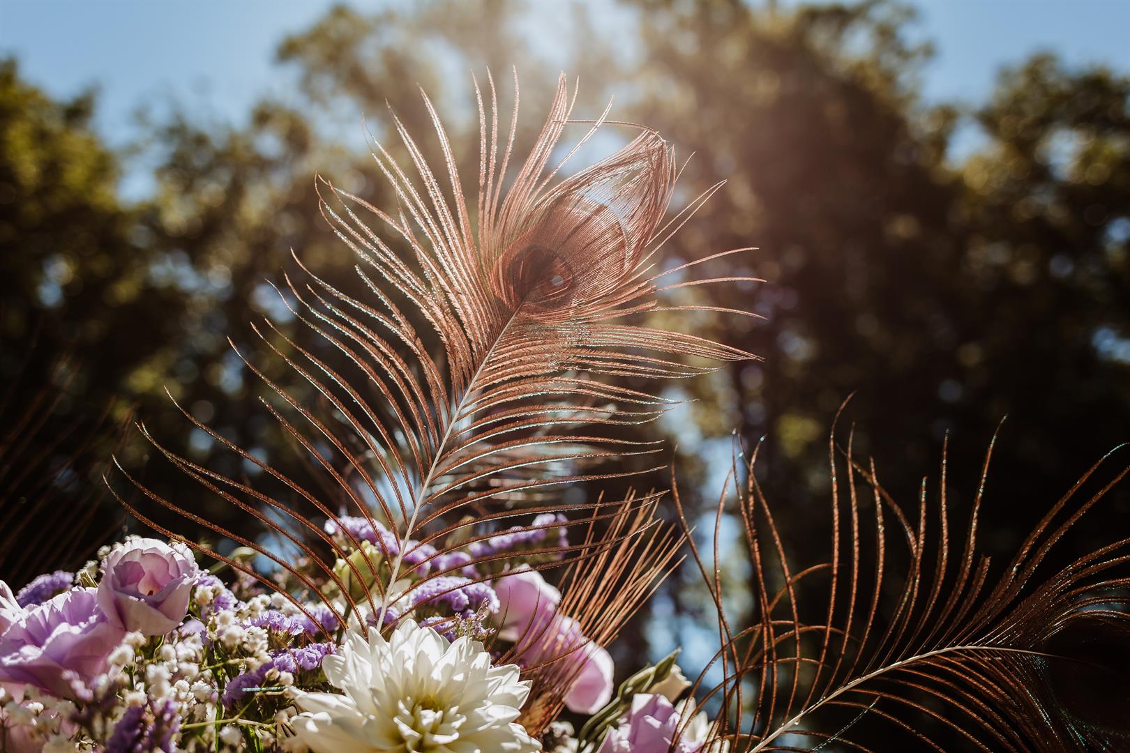 Matrimonio Stefania e Michael Tenuta Berroni
