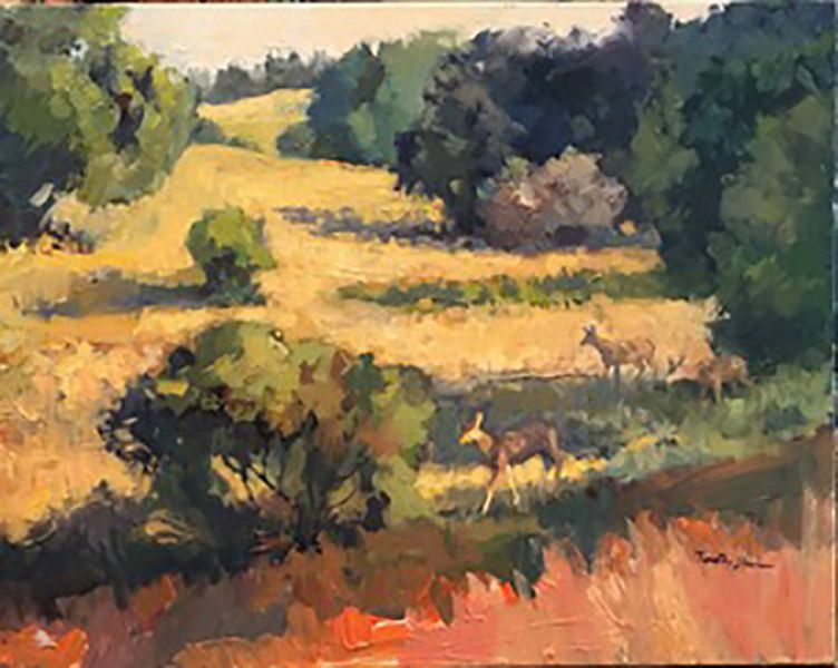 California Landscapes 2024