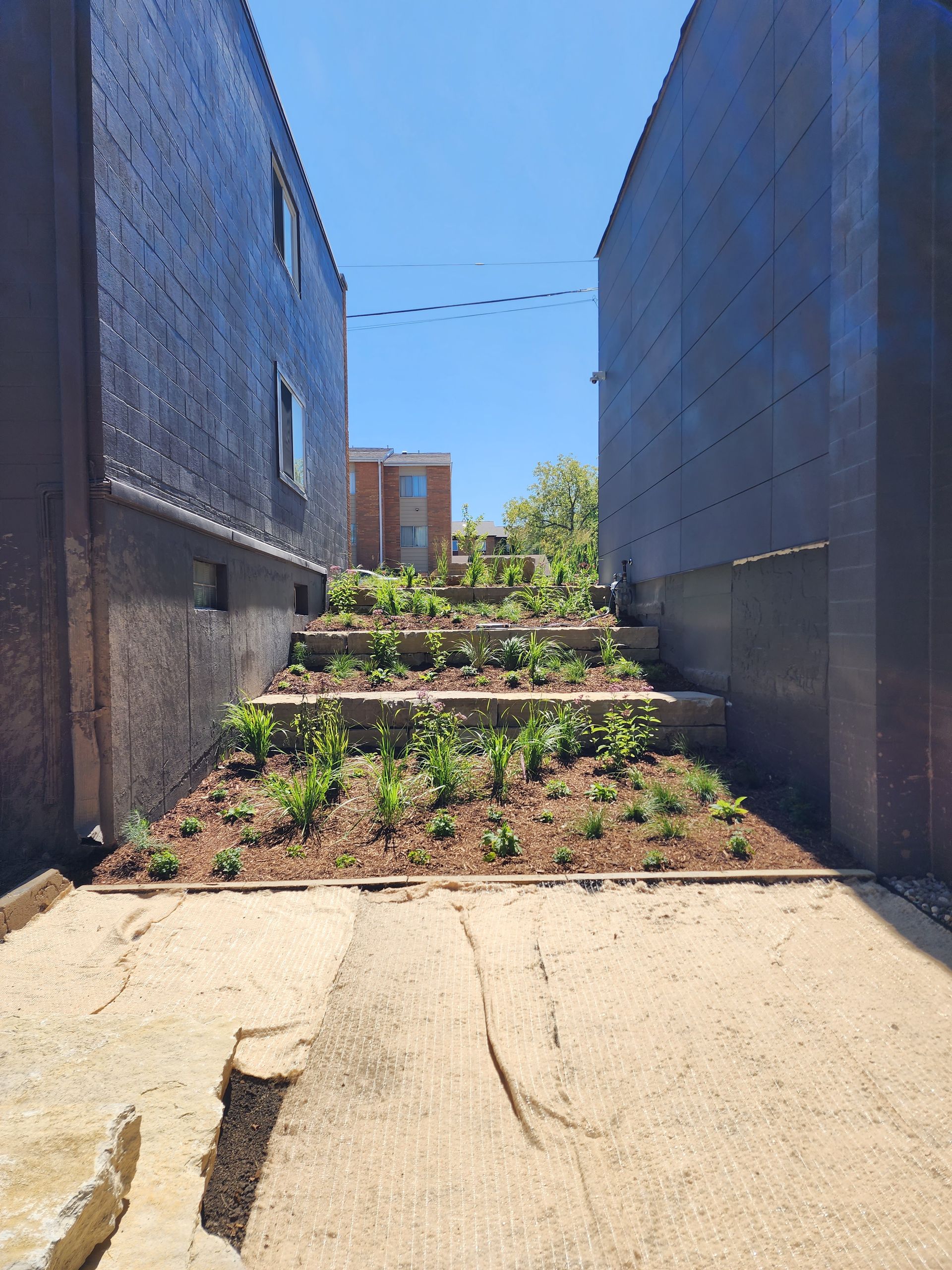 Landscape and Tree Service Images | Marion, IA | S&B Scapes
