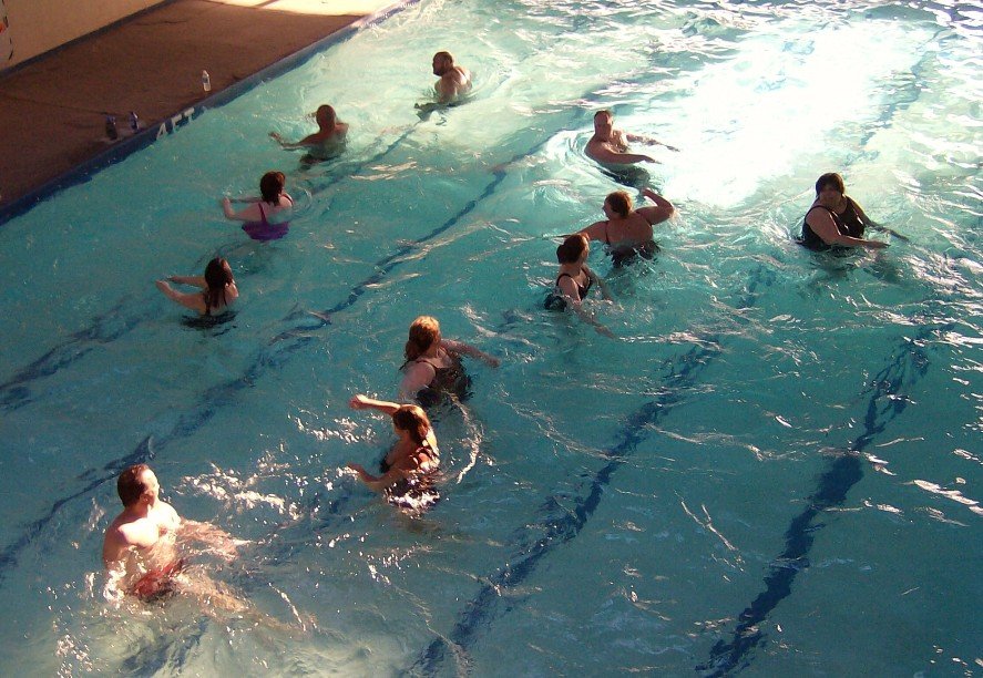 Top 5 Gym and Swim Club in Westland