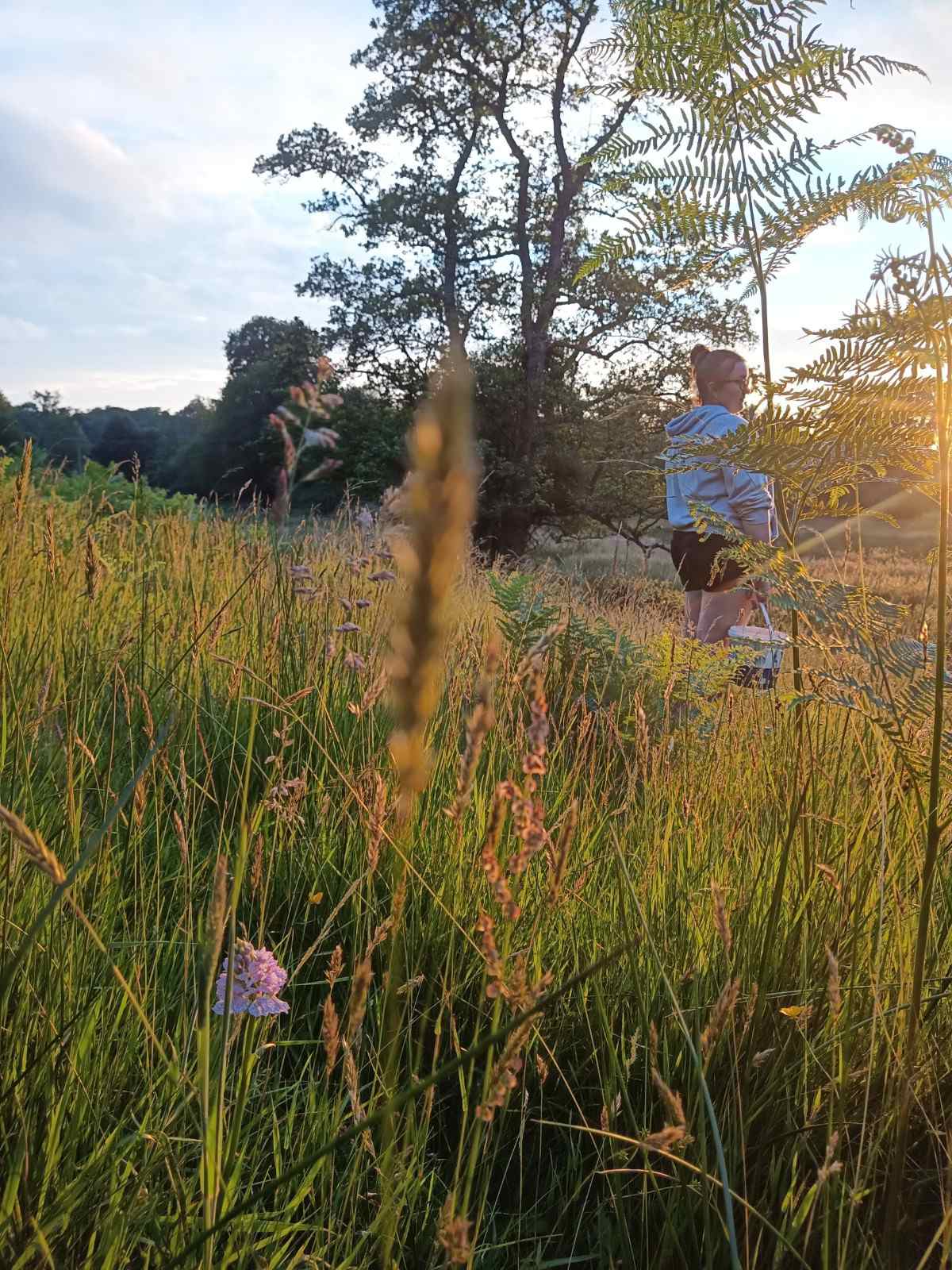 Location | Huntingford Camping