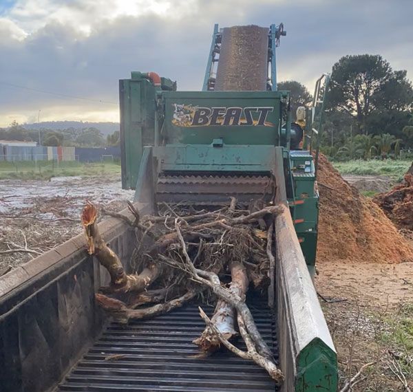 Horizontal grinding | WA tree grinding services | Leesons Tree Grinding