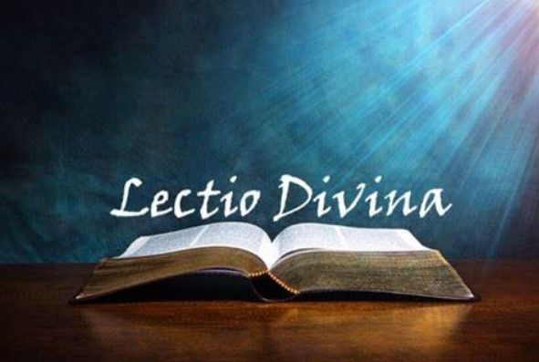 Bible Reflection/Lectio Divina