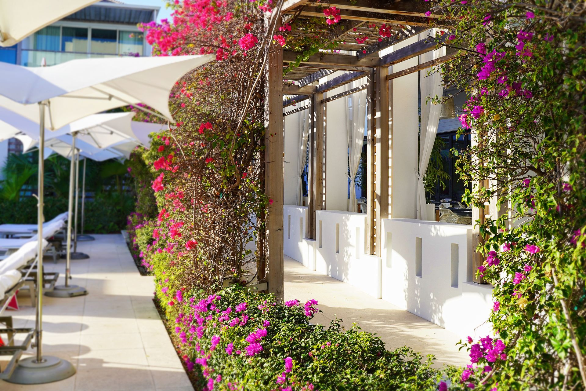 Wymara Resort + Villas gallery | Wymara Villas + Beach Club gallery ...