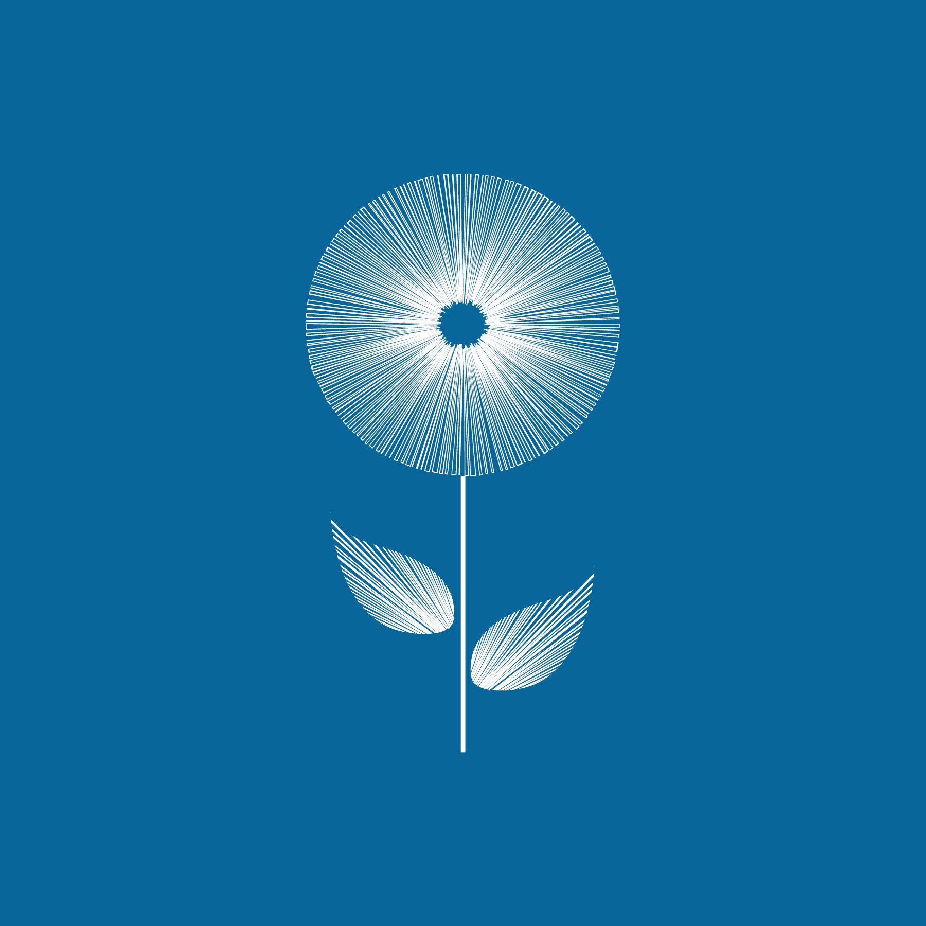 Wymara Resort + Villas | Luxury Hotels and Villas Turks and Caicos ...