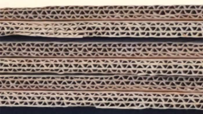 Zapopan – ME MULTIEMPACK