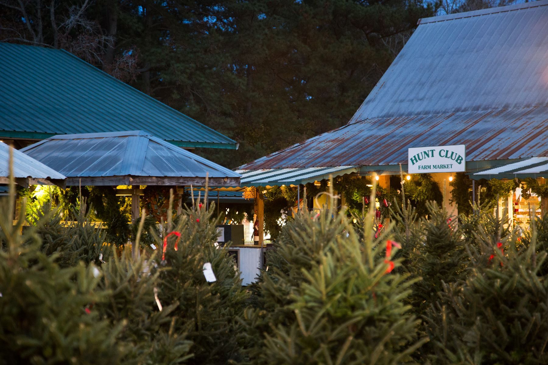 Farm and Education Center Virginia Beach VA | Hunt Club Farm