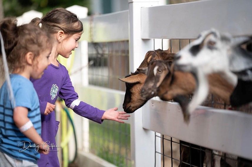 Field Trips and Tours Virginia Beach, VA | Hunt Club Farm