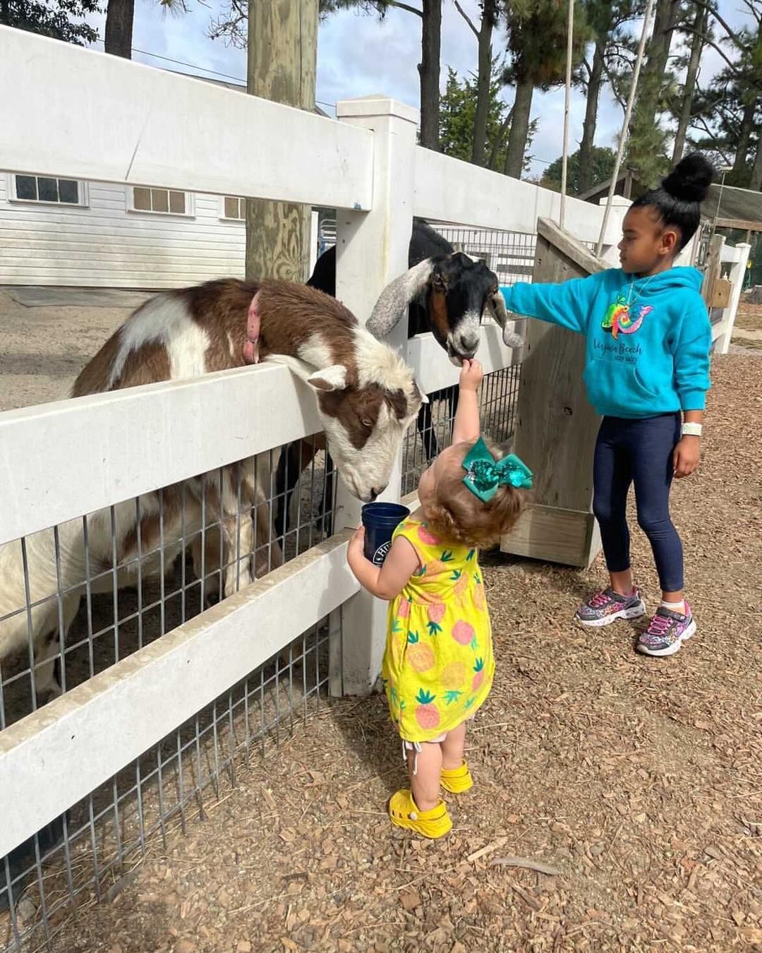 Our Pricing | Hunt Club Farm