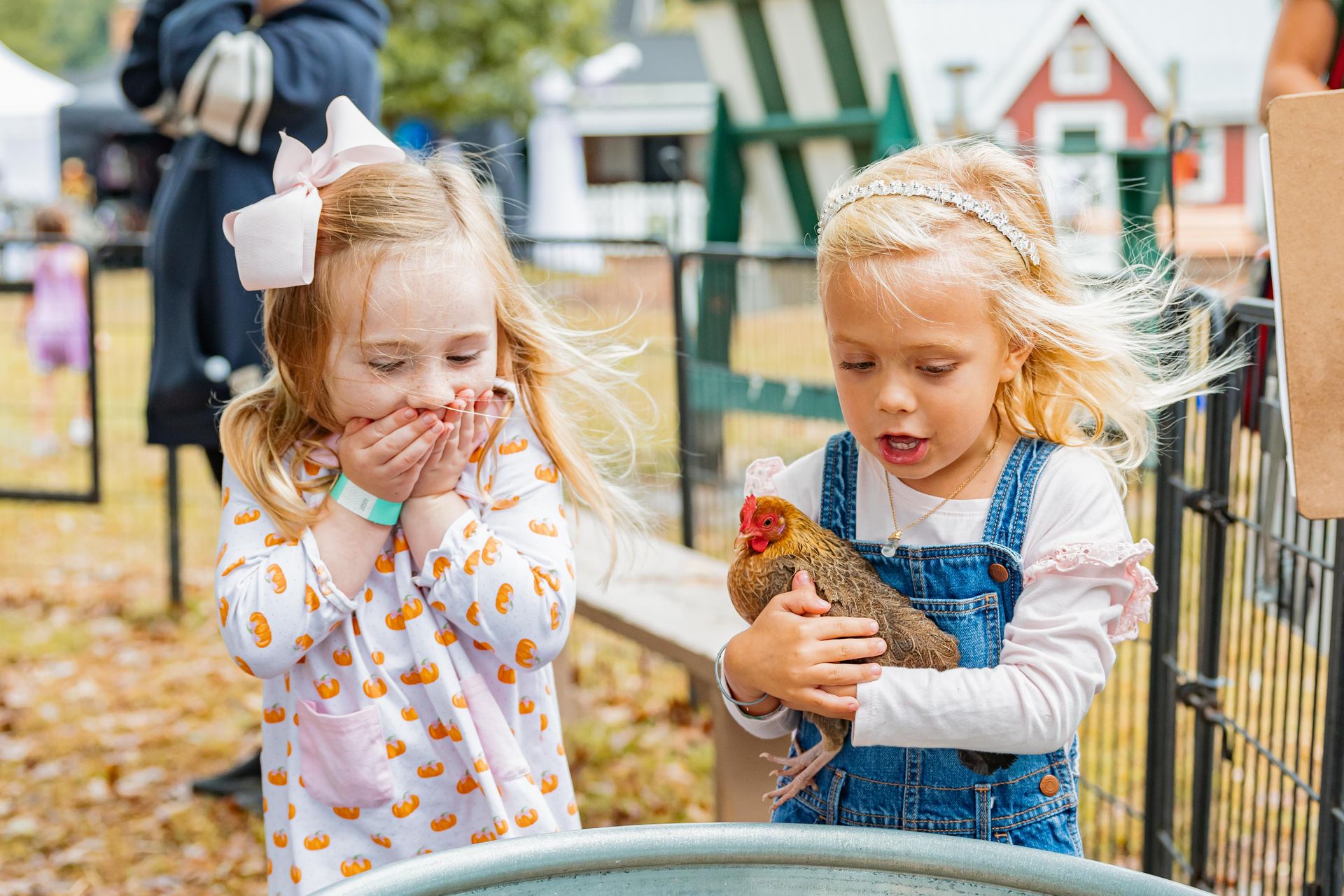 Harvest Fair Virginia Beach, VA | Hunt Club Farm