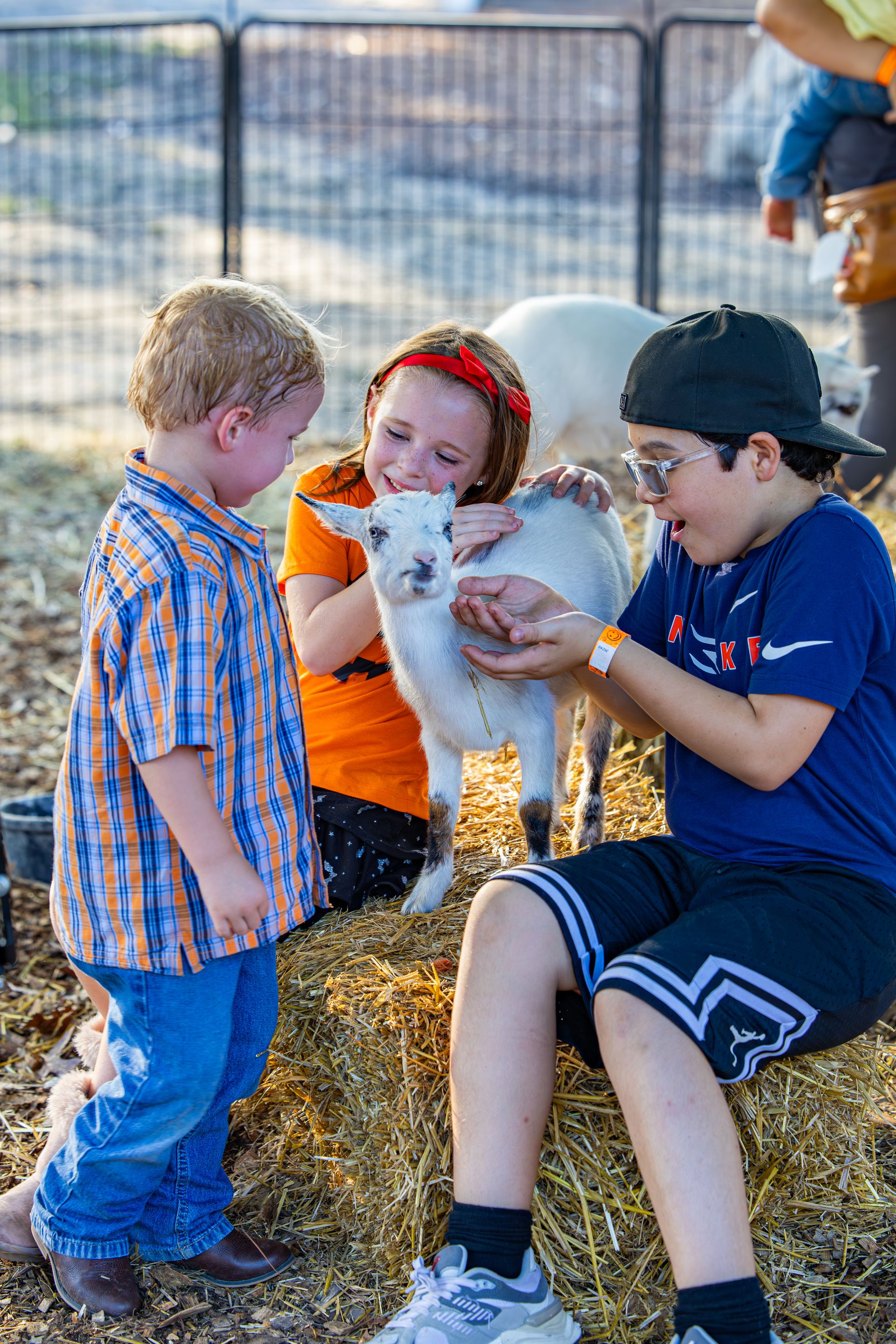 Petting Farm Virginia Beach, VA | Hunt Club Farm
