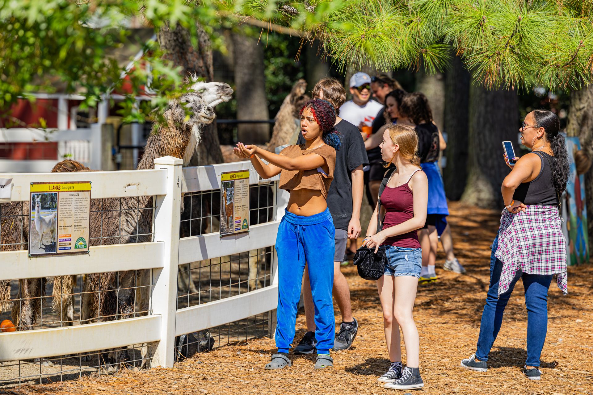 Harvest Fair Virginia Beach, VA | Hunt Club Farm