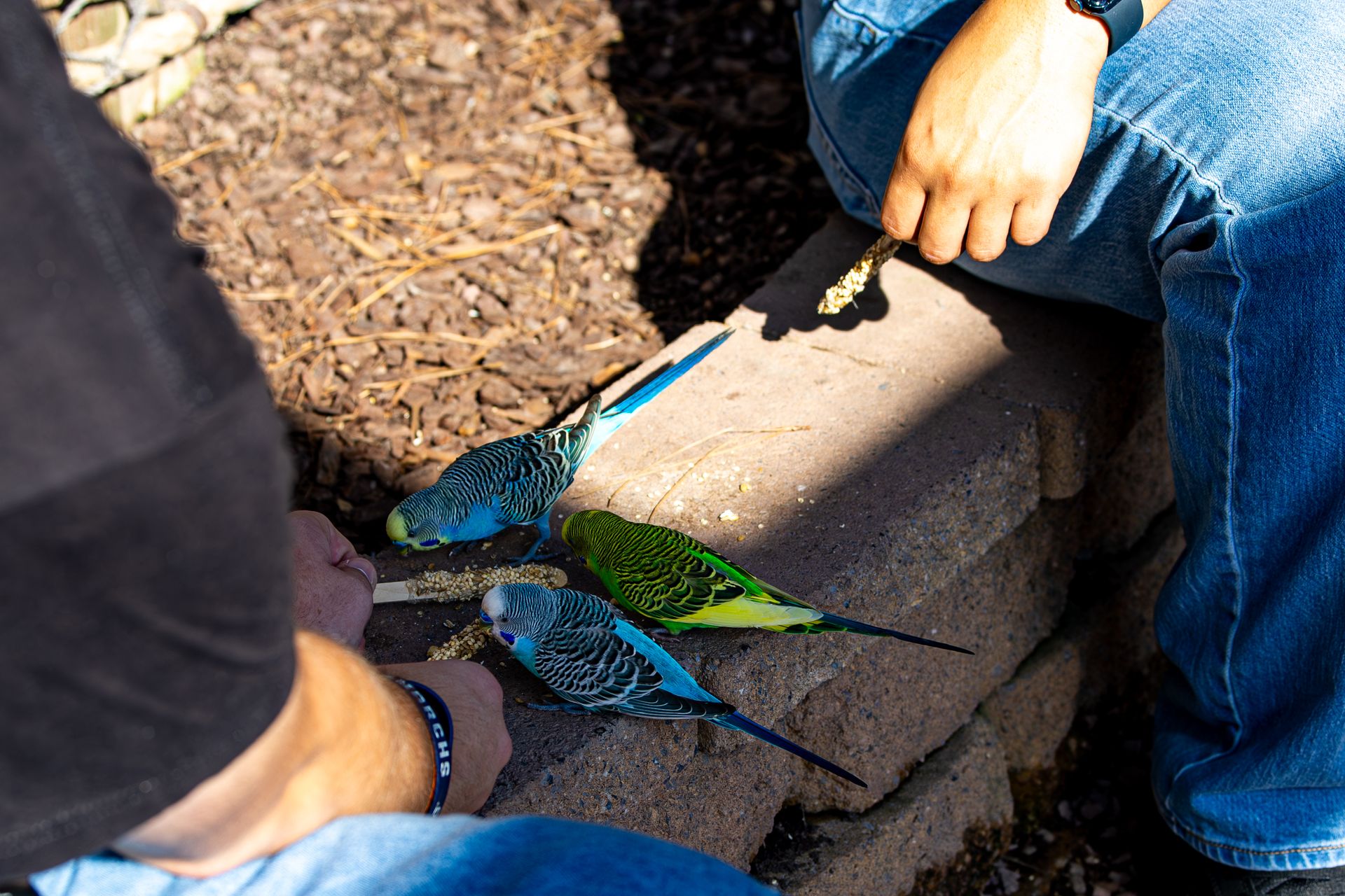 Harvest Fair Virginia Beach, VA | Hunt Club Farm