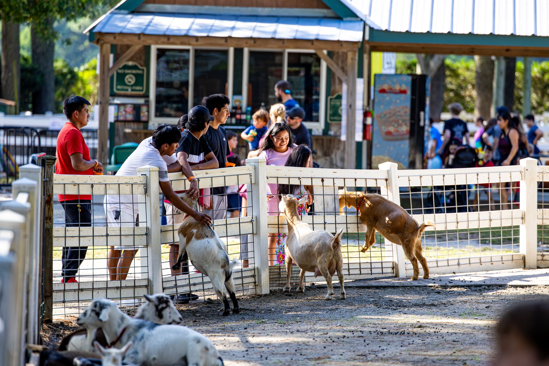 Harvest Fair Virginia Beach, VA | Hunt Club Farm