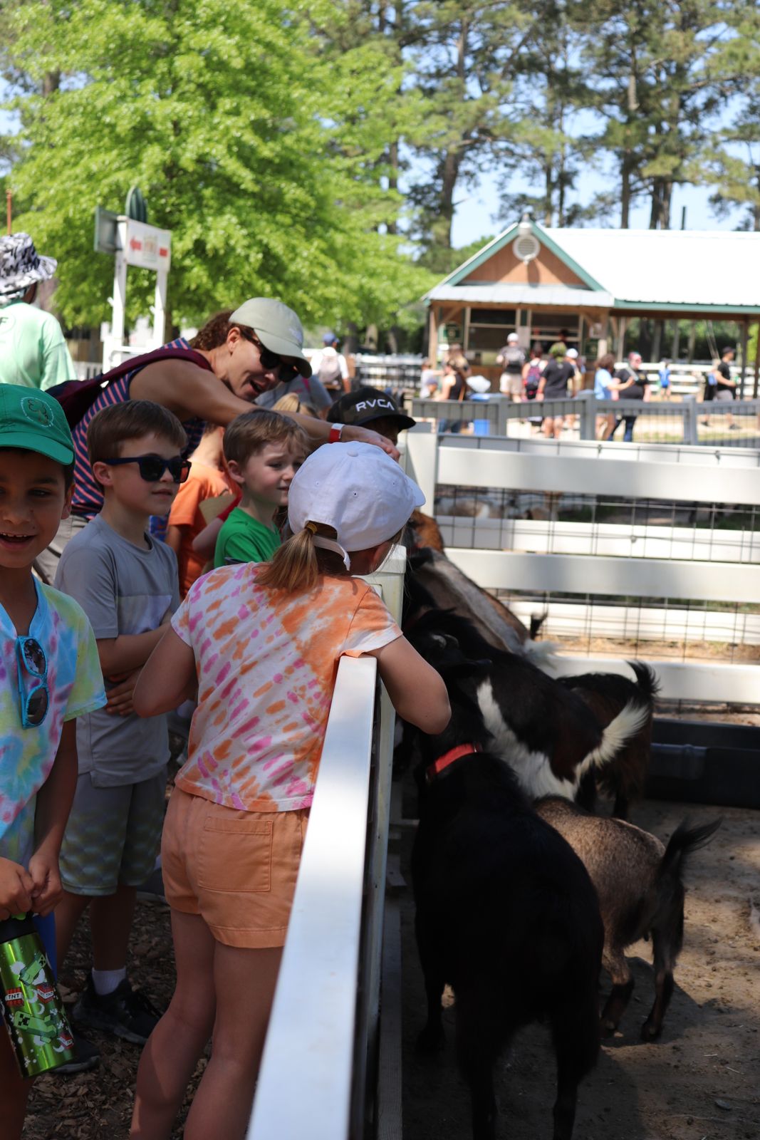 Field Trips and Tours Virginia Beach, VA | Hunt Club Farm