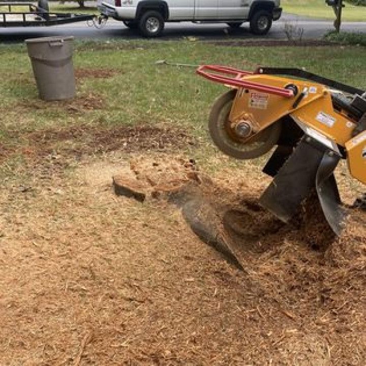 Stump Grinding, Stump Removal | Richmond Metro, VA and Chesterfield ...