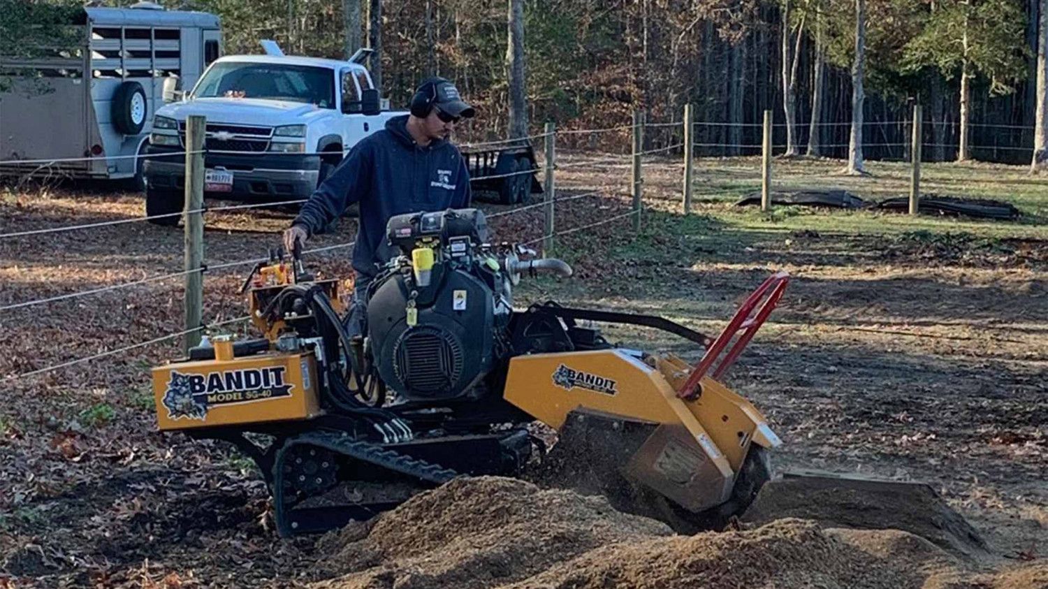 Stump Grinding, Stump Removal | Richmond Metro, VA and Chesterfield ...