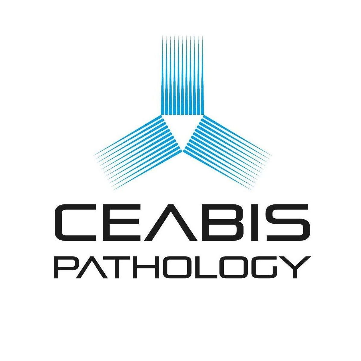 Vezzani Group | Trust, Tradition, and Expertise in the Funeral Industry