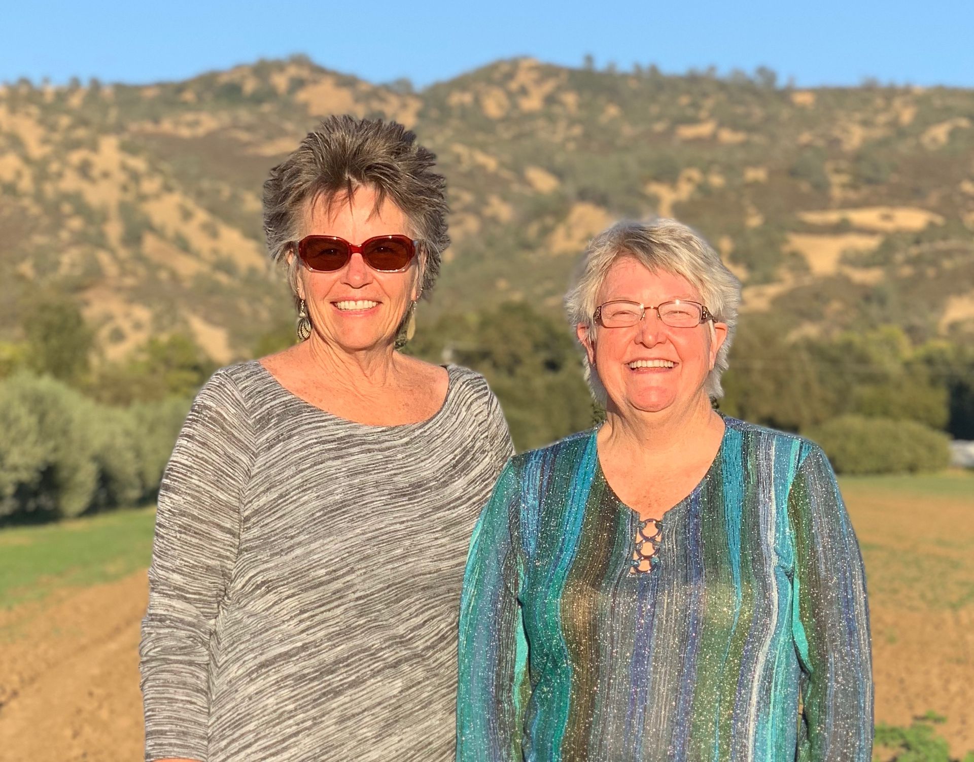 About | RISE Incorporated | Non Profit Public Benefit Yolo County