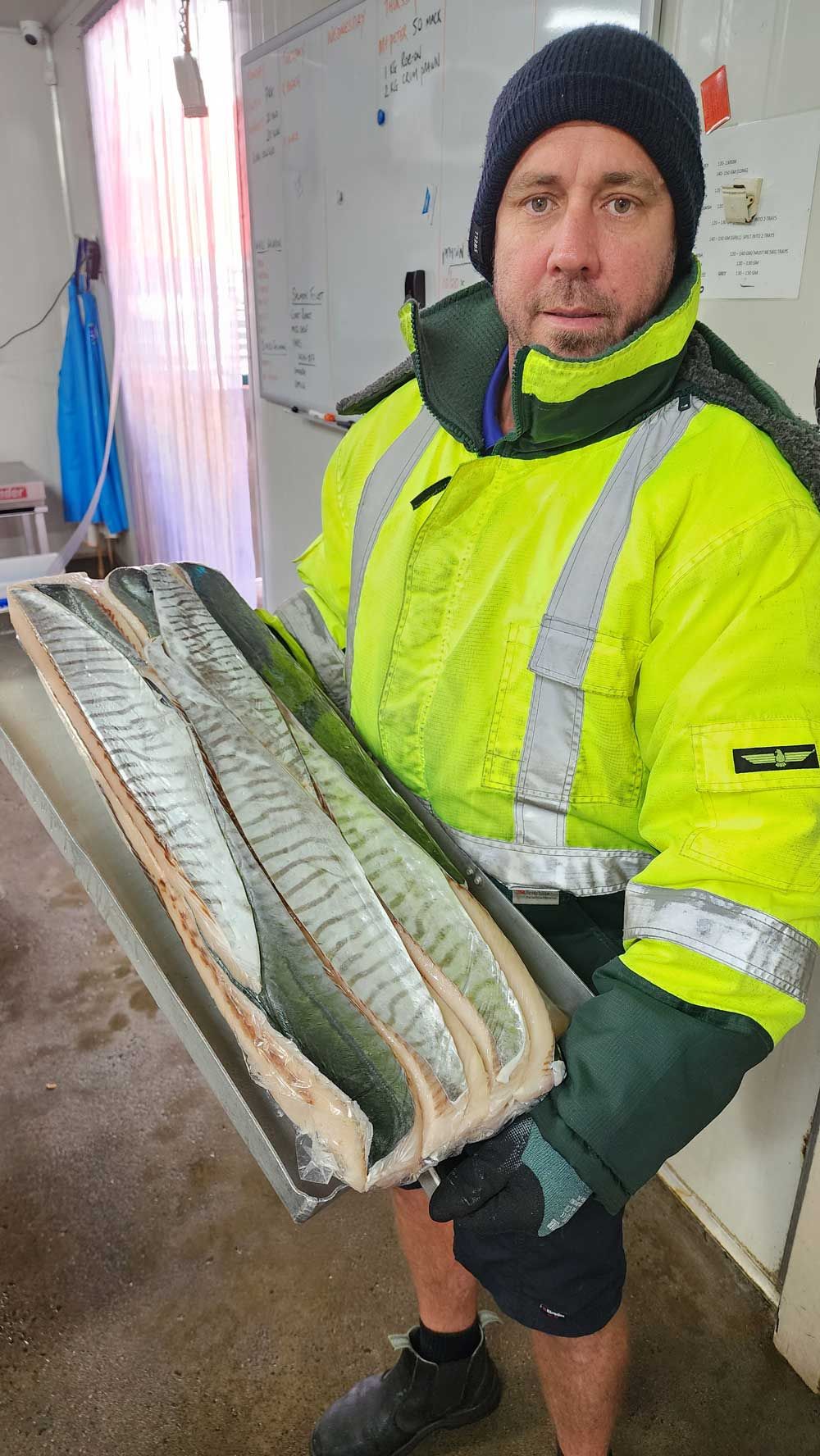 Seafood Wholesale in Cairns | NQ Prawn Cutlets