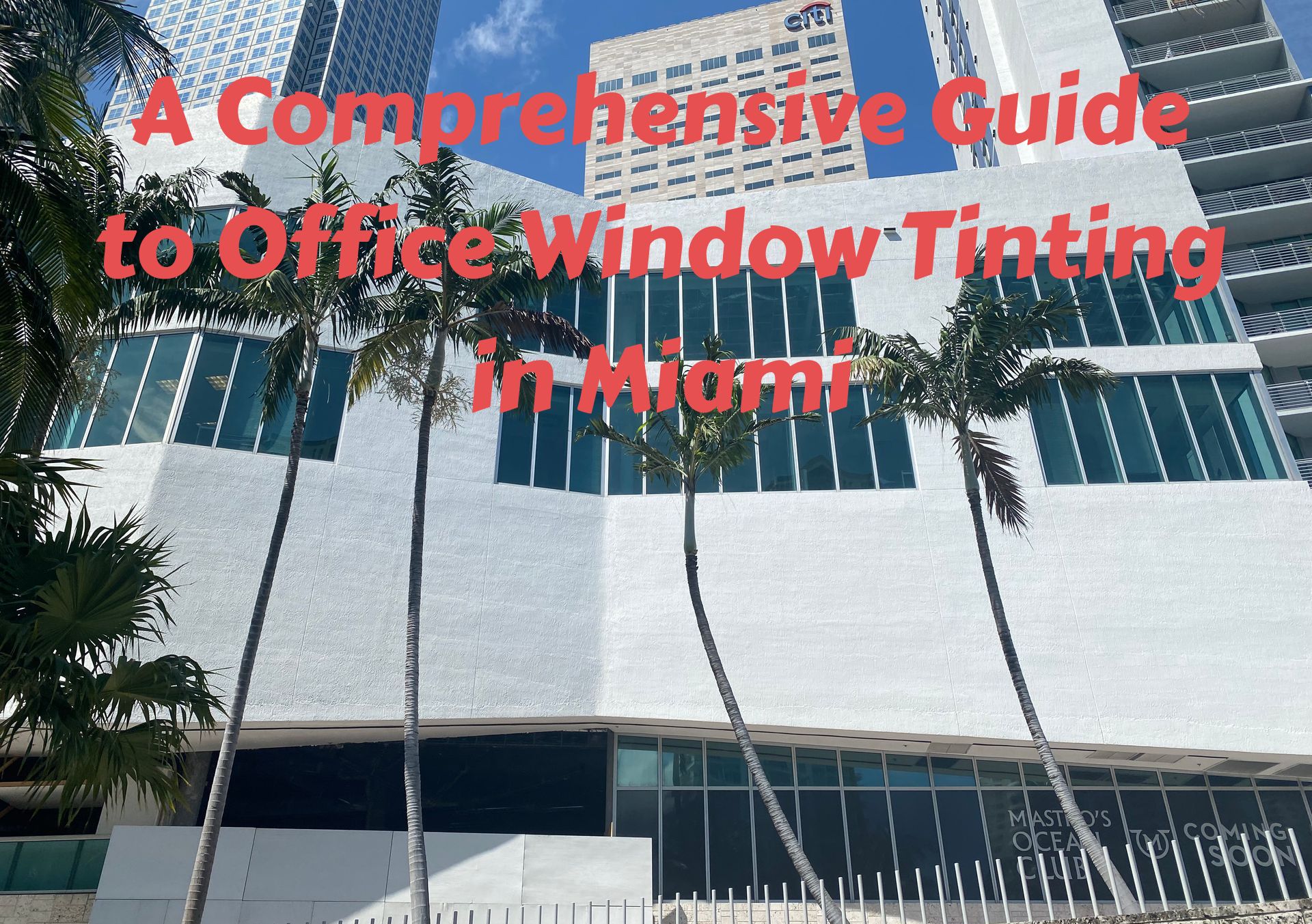 A Comprehensive Guide to Office Window Tinting in Miami
