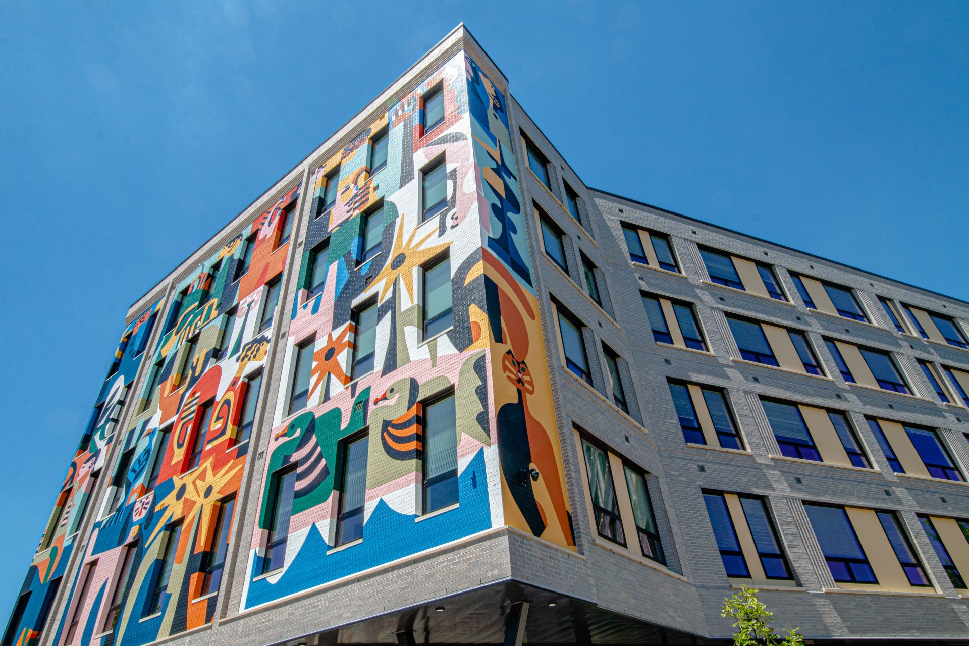 Ella Apartments
