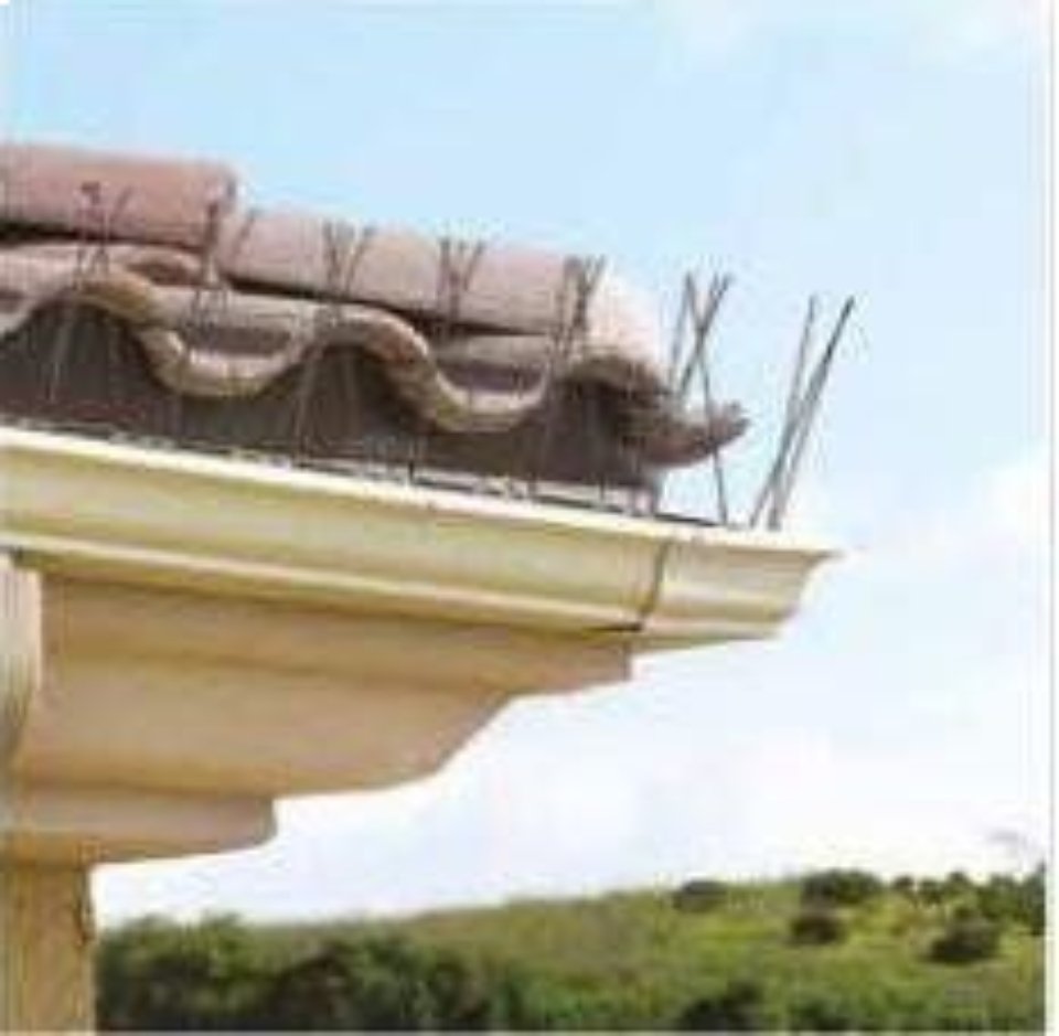 Metal wires and bird deterrent systems | Bologna | Filomat