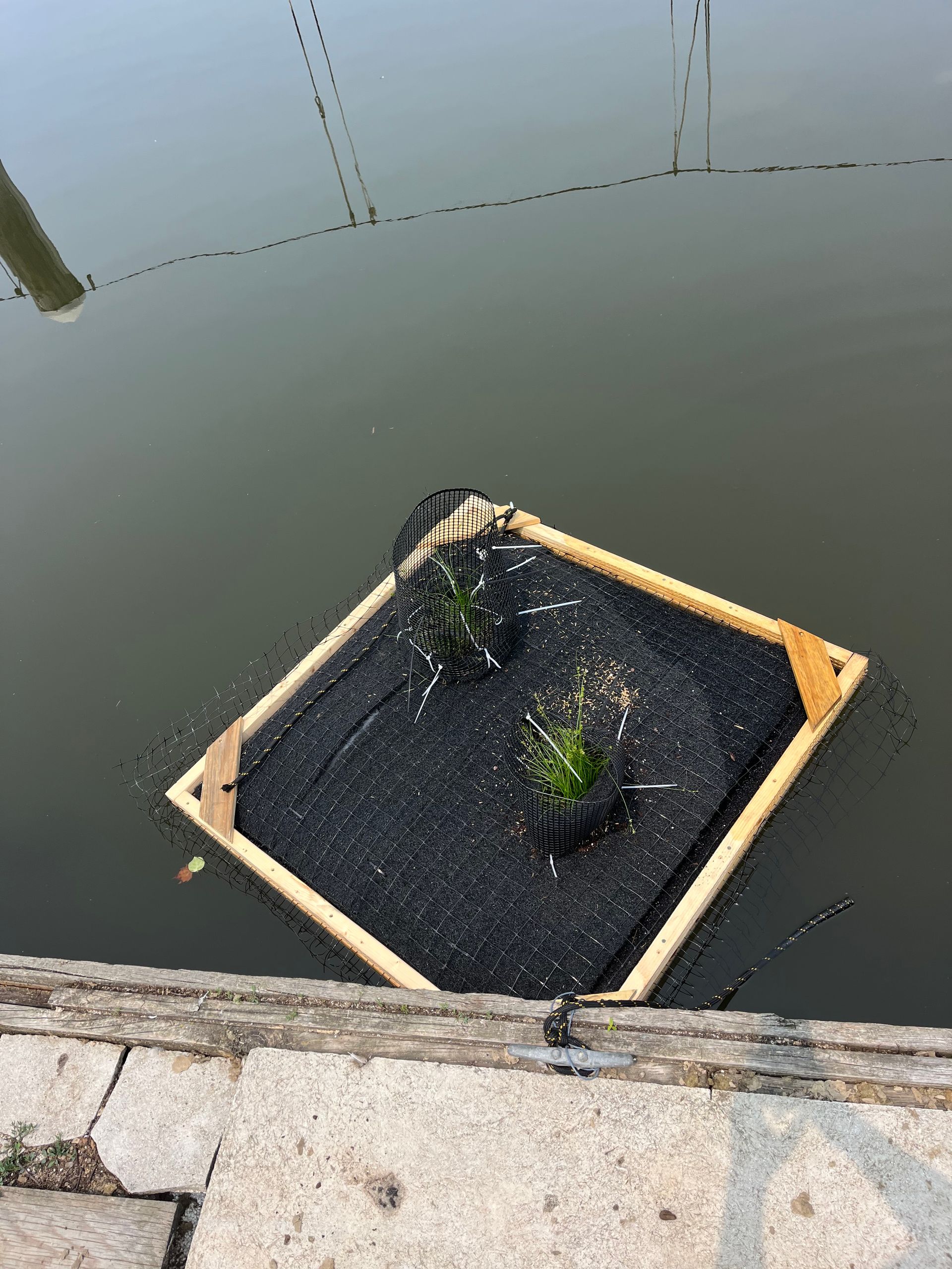 EJJI, ToolBank, Install Floating Wetlands Project at Middle Branch Marina