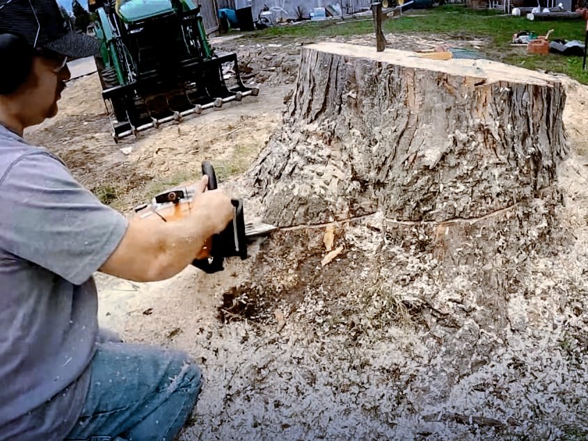 NSW Arborists | Stump Grinding Services