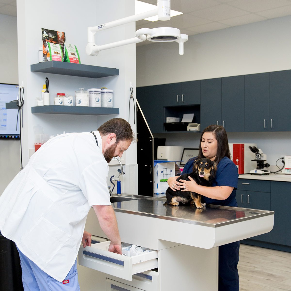 Photo Gallery | A Couple of Vets | Animal Hospital | Spring, TX