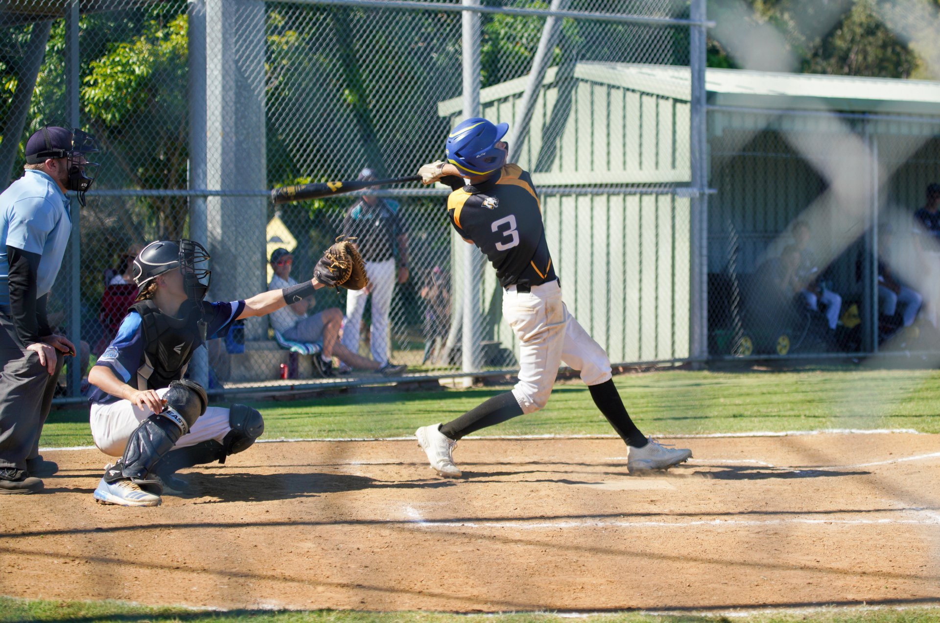 Play Baseball on The Gold Coast