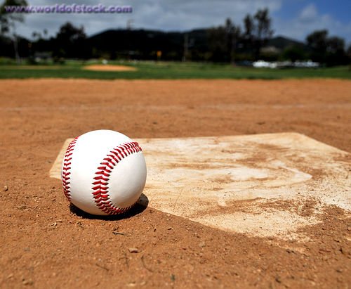 Play Baseball on The Gold Coast