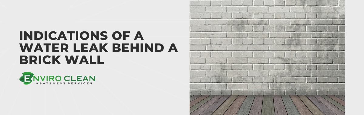 Indications of a Water Leak Behind a Brick Wall