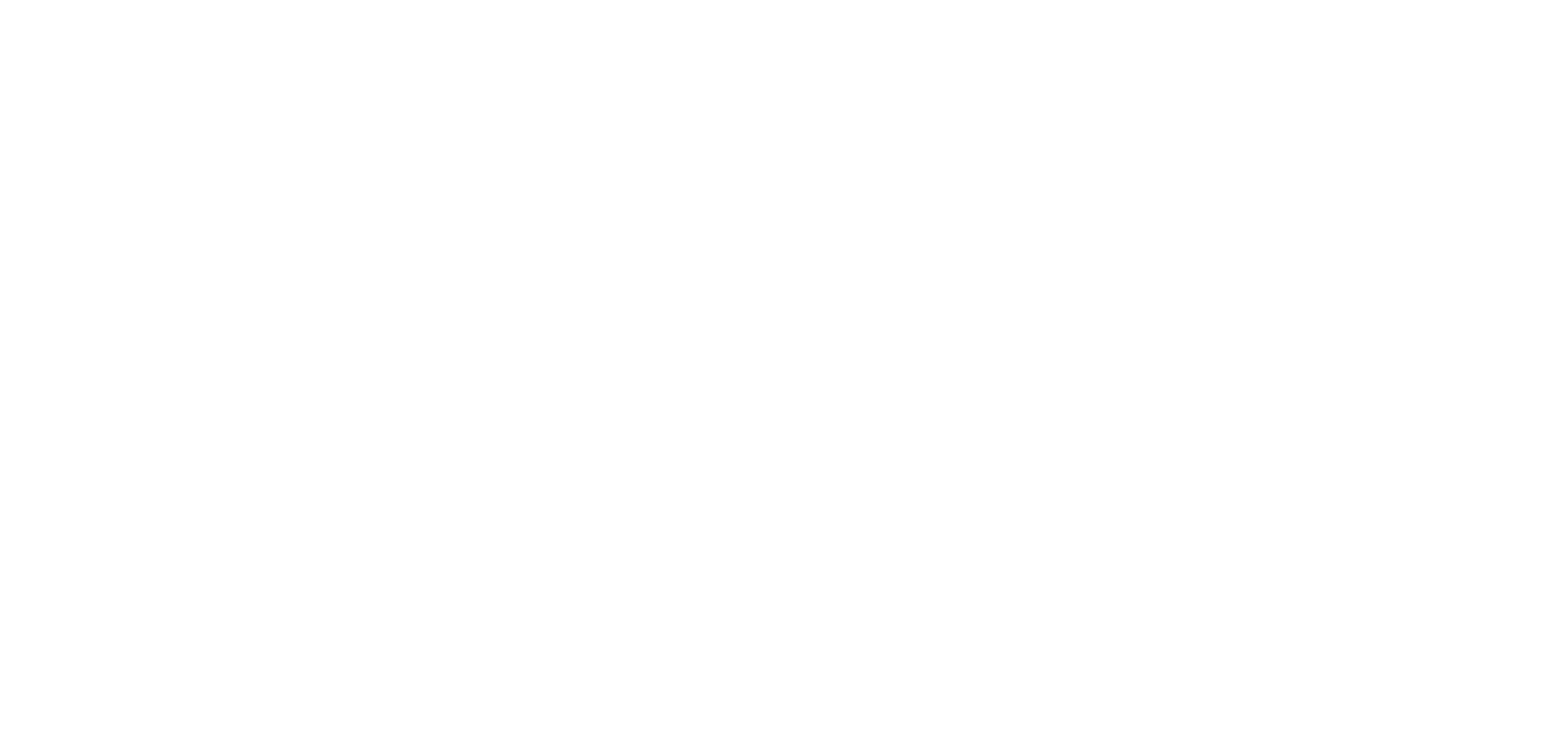 security-scanning-and-equipment-from-twofold-security-solutions