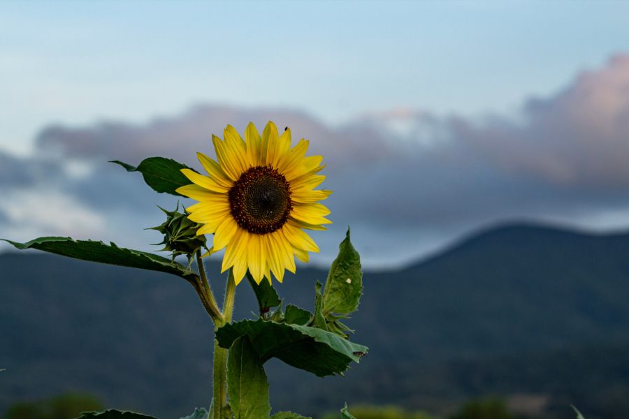 Southeastern Colorado Attractions | Colorado Plains RV Park